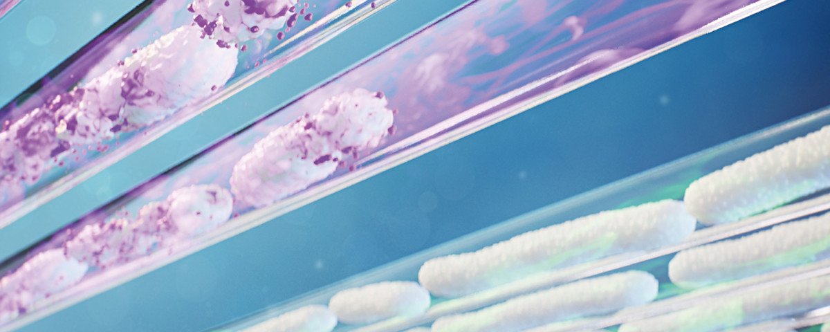 Accueil – Spectra Diagnostic